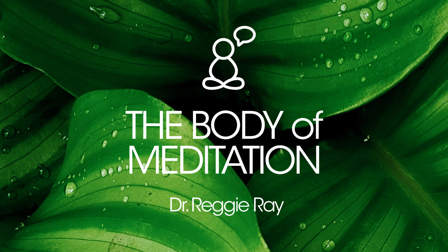 Dr Reginald "Reggie" Ray | Conscious Life